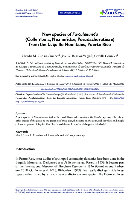 (PDF) New species of Furculanurida (Collembola, Neanuridae ...