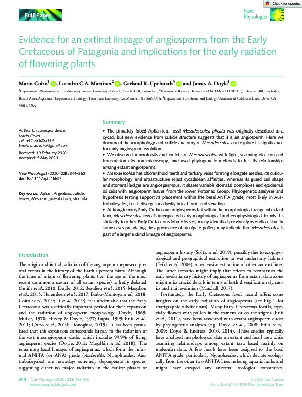 (PDF) Evidence for an extinct lineage of angiosperms from the Early ...