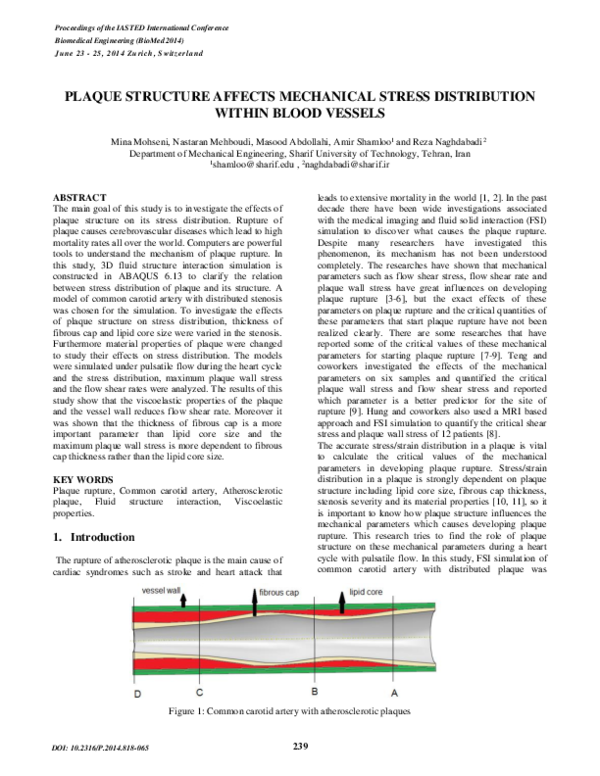 (PDF) Plaque Structure Affects Mechanical Stress Distribution within ...