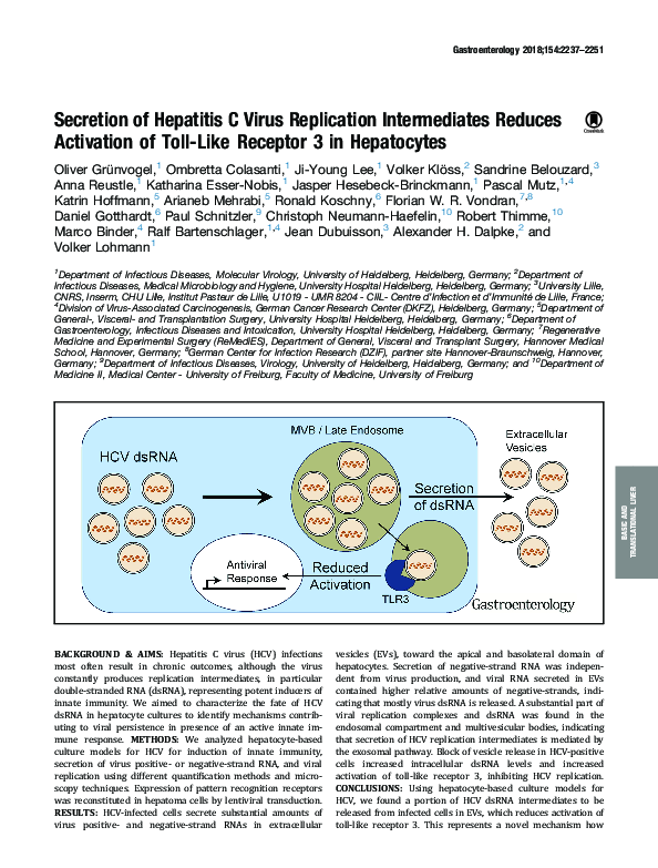 (PDF) Secretion of Hepatitis C Virus Replication Intermediates Reduces ...