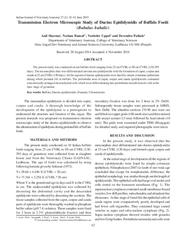 (PDF) Materials and Methods