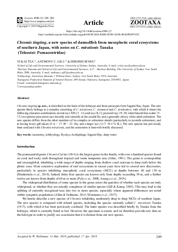 (PDF) Chromis tingting, a new species of damselfish from mesophotic ...