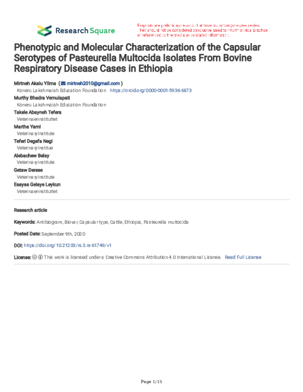 Pdf Phenotypic And Molecular Characterization Of The Capsular