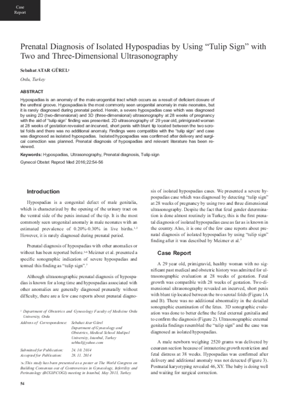 (PDF) Prenatal Diagnosis of Isolated Hypospadias by Using “Tulip Sign ...