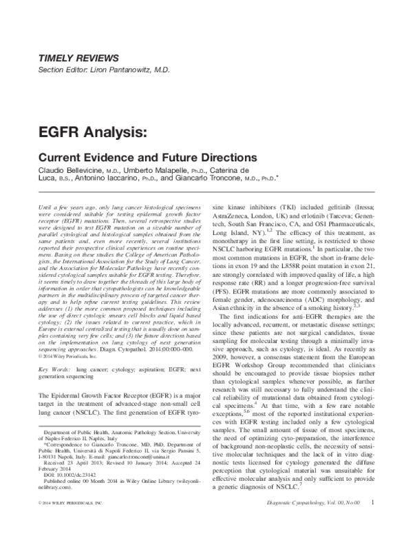 (PDF) EGFR analysis: Current evidence and future directions