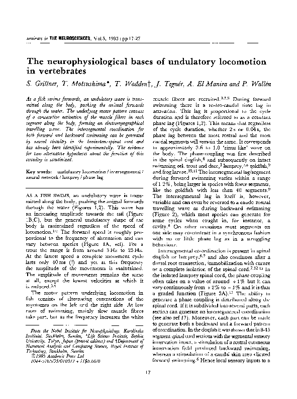 (PDF) The neurophysiological bases of undulatory locomotion in vertebrates