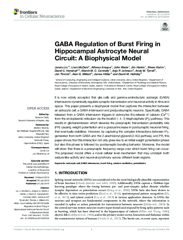 (PDF) GABA Regulation of Burst Firing in Hippocampal Astrocyte Neural Circuit: A Biophysical ...