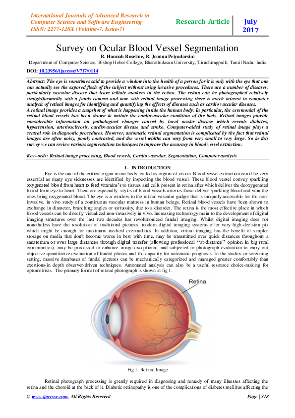(PDF) Survey on Ocular Blood Vessel Segmentation