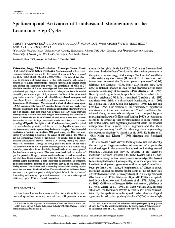 Pdf Motoneurons In The Locomotor Step Cycle Spatiotemporal Activation Of Lumbosacral Vivian