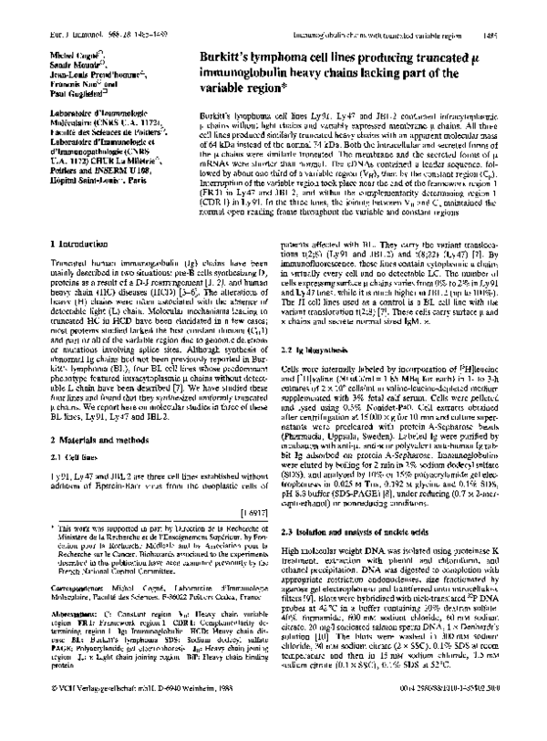 (PDF) Burkitt's Lymphoma Cell Lines Producing Truncated P ...