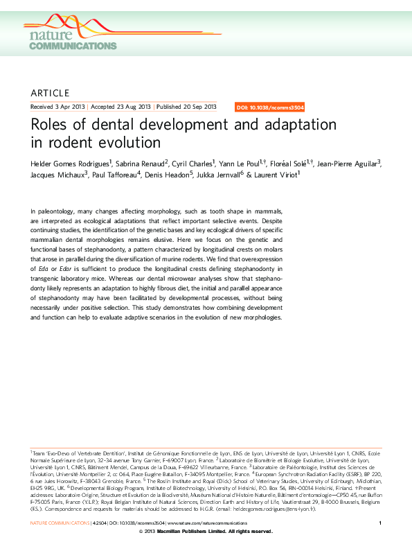 (PDF) Roles of dental development and adaptation in rodent evolution