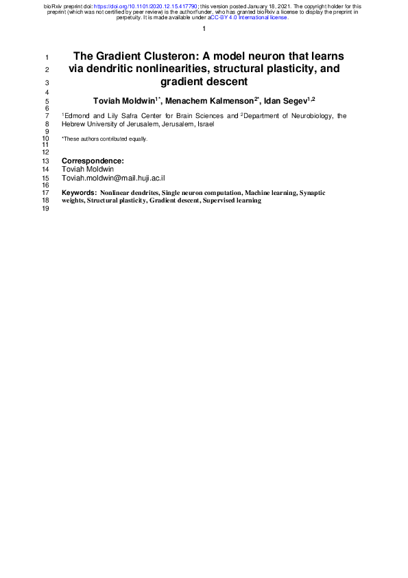 (PDF) The Gradient Clusteron: A model neuron that learns via dendritic nonlinearities ...