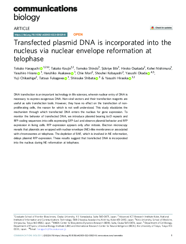 (PDF) Transfected plasmid DNA is incorporated into the nucleus via ...