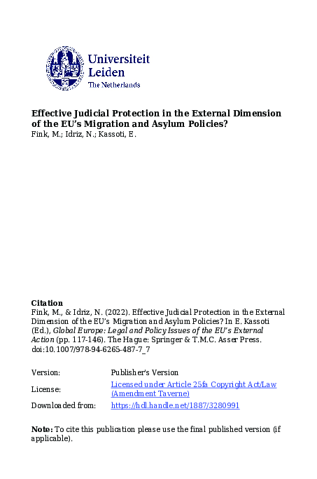 (PDF) Effective Judicial Protection in the External Dimension of the EU ...