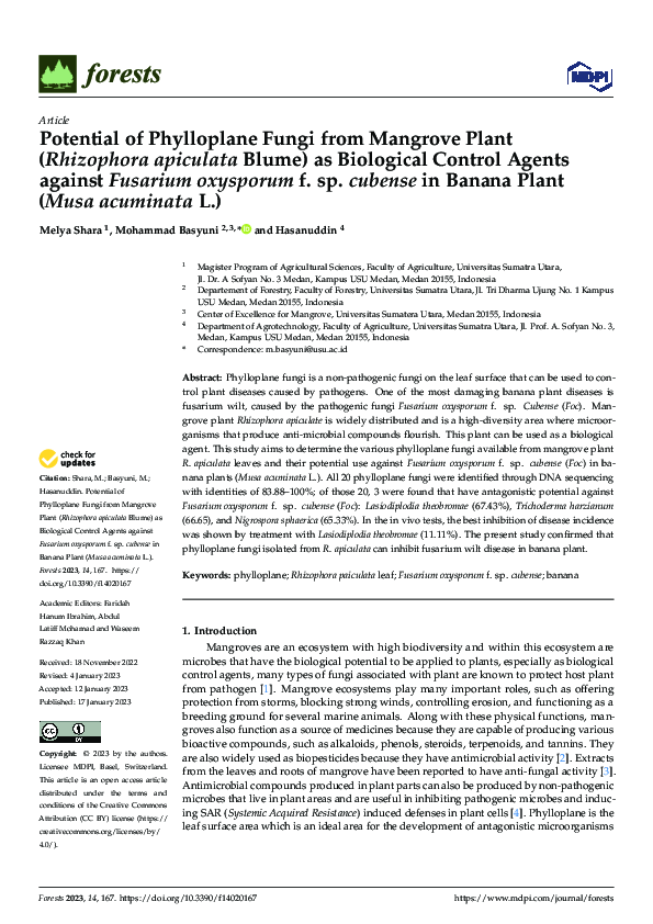 (PDF) Potential of Phylloplane Fungi from Mangrove Plant (Rhizophora apiculata Blume) as ...