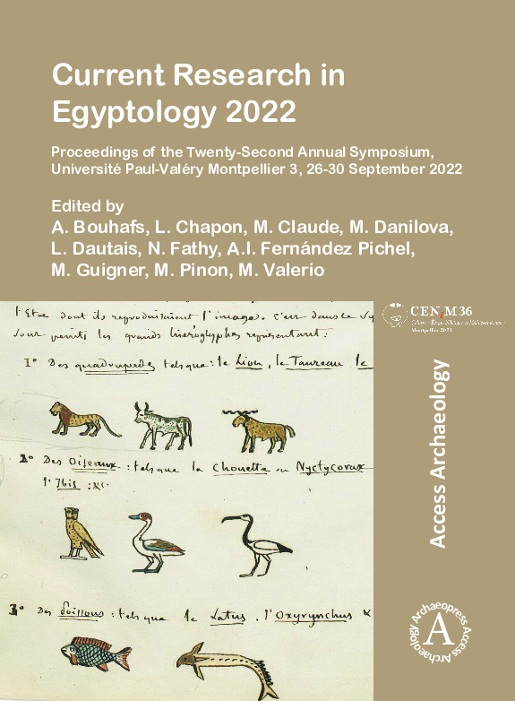 (PDF) The Emergence of Egypt’s Southern City: Preliminary New Kingdom ...