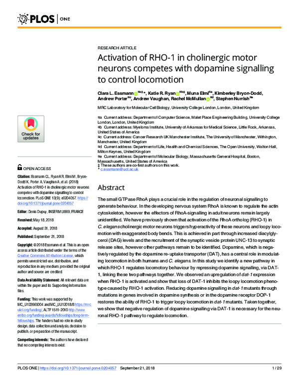 (PDF) Activation of RHO-1 in cholinergic motor neurons competes with ...