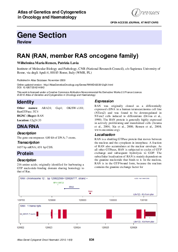 (PDF) RAN (RAN, member RAS oncogene family)