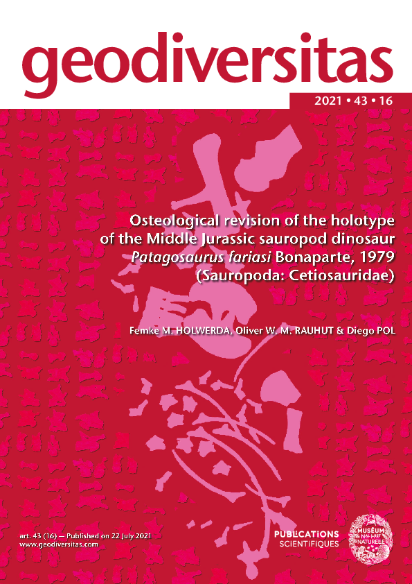 (PDF) Osteological revision of the holotype of the Middle Jurassic ...