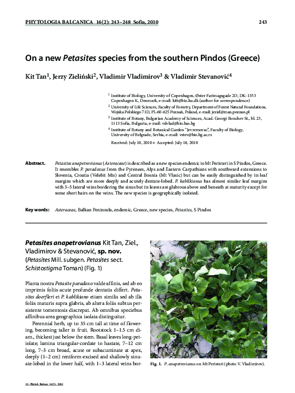 (PDF) On a new Petasites species from the southern Pindos (Greece)