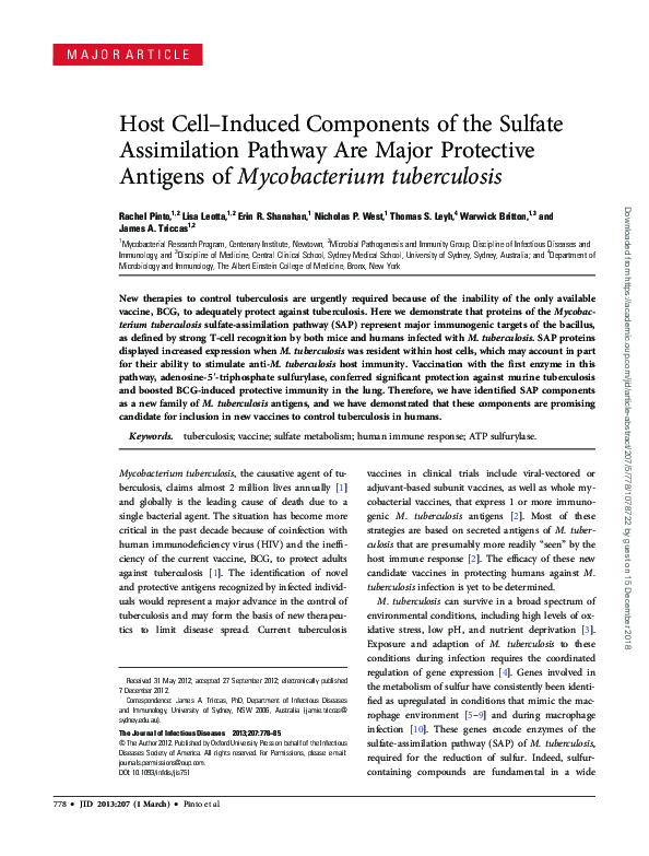 (PDF) On the Modified Design of Anode Assembly in Hall-Héroult Cell ...