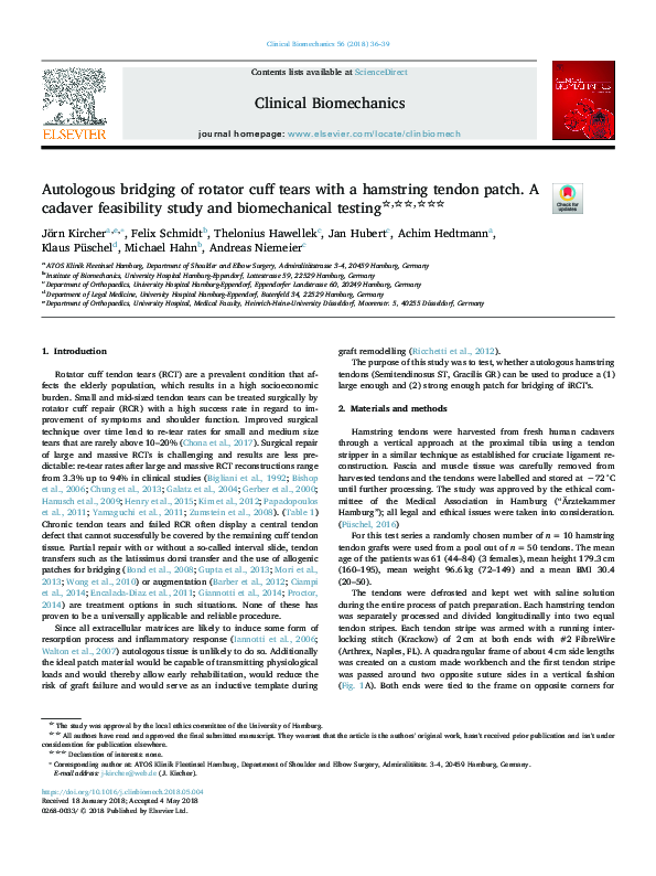 (PDF) Autologous bridging of rotator cuff tears with a hamstring tendon ...