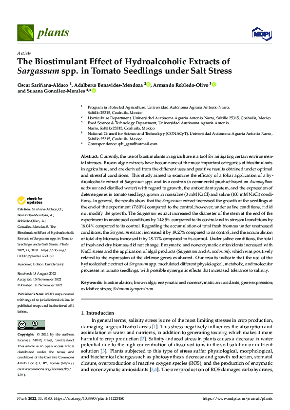 (PDF) The Biostimulant Effect of Hydroalcoholic Extracts of Sargassum spp. in Tomato Seedlings ...