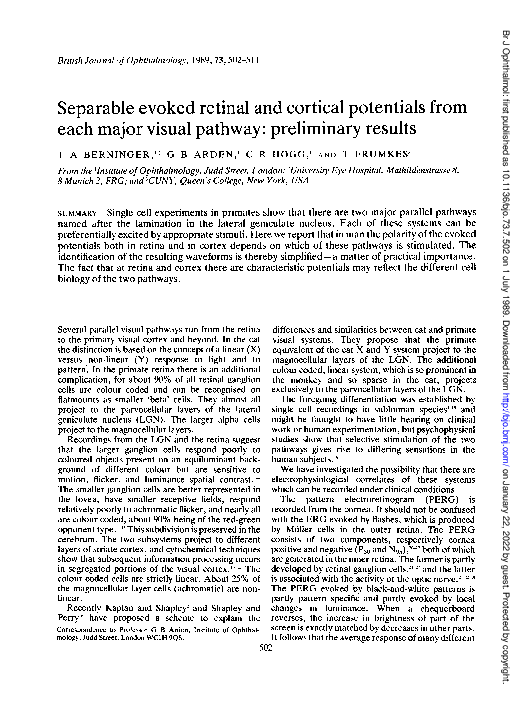 (PDF) Separable evoked retinal and cortical potentials from each major visual pathway ...