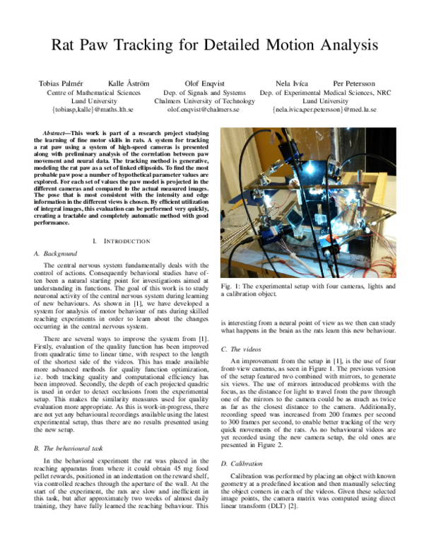 (PDF) Rat Paw Tracking for Detailed Motion Analysis