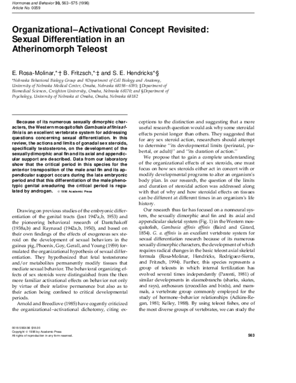 Pdf Organizationalactivational Concept Revisited Sexual Differentiation In An Atherinomorph