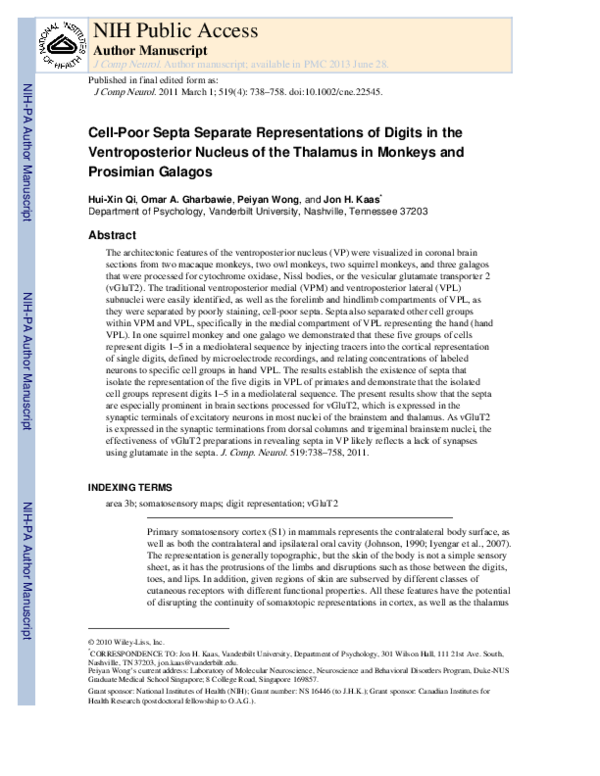 (PDF) Cell-poor septa separate representations of digits in the ...