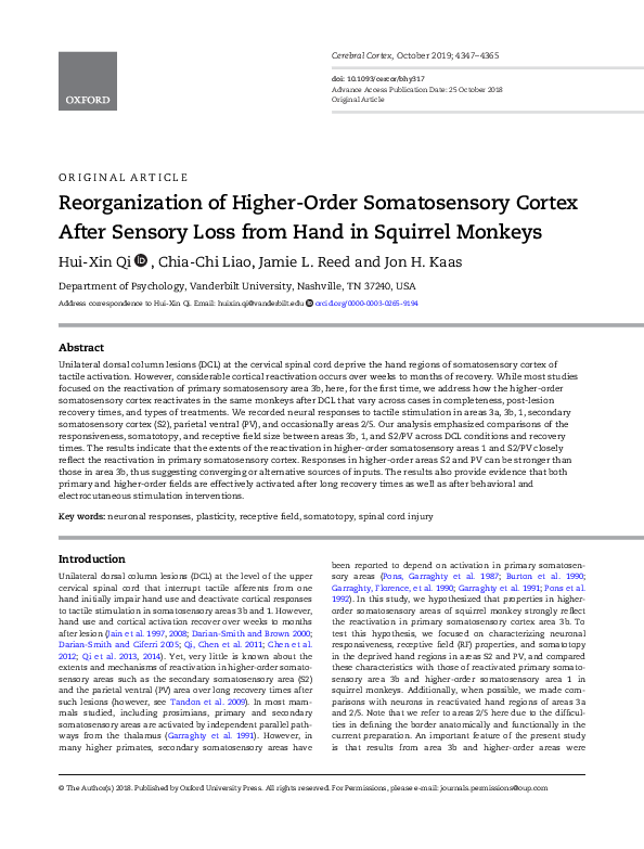 (PDF) Reorganization of Higher-Order Somatosensory Cortex After Sensory ...
