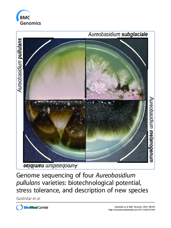 (PDF) Genome sequencing of four Aureobasidium pullulans varieties ...