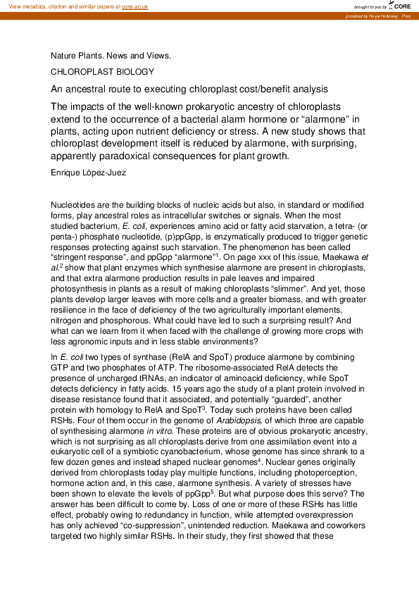 (PDF) Chloroplast biology: Cost–benefit analysis