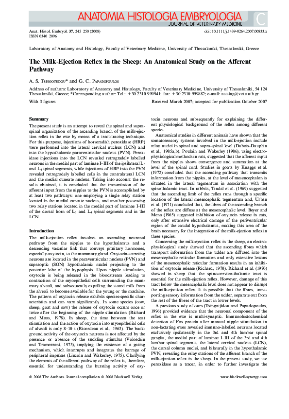 (PDF) The Milk-Ejection Reflex in the Sheep: An Anatomical Study on the ...