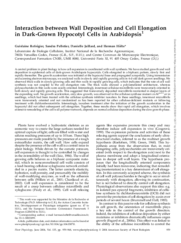 (PDF) Interaction between Wall Deposition and Cell Elongation in Dark ...
