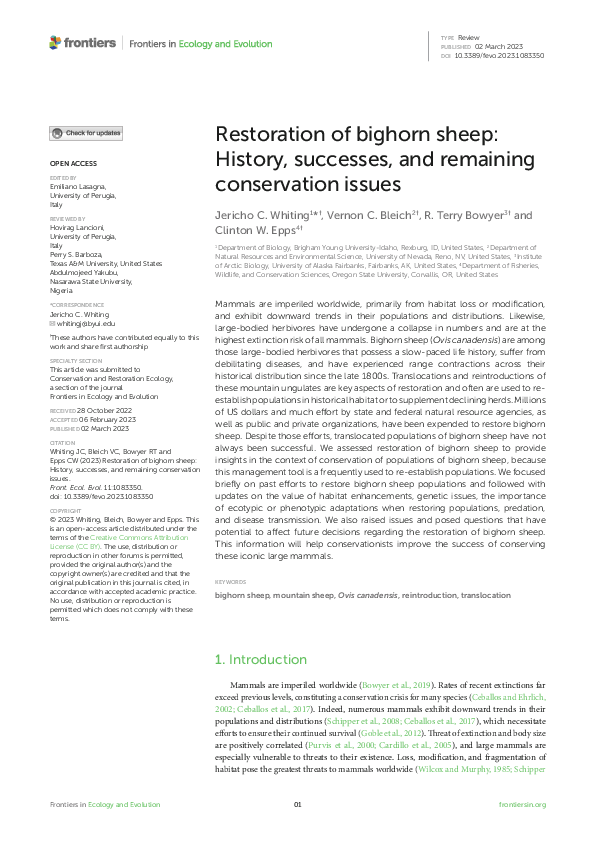 (PDF) Restoration of bighorn sheep: History, successes, and remaining ...