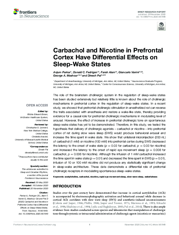 (PDF) Carbachol and Nicotine in Prefrontal Cortex Have Differential ...