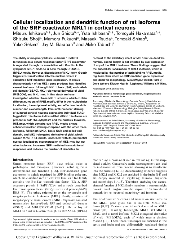 (PDF) Cellular localization and dendritic function of rat isoforms of ...