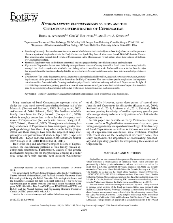 (PDF) Hughmillerites vancouverensis sp. nov. and the Cretaceous ...