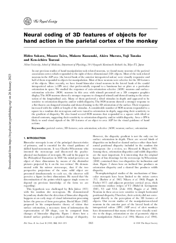 Pdf Neural Coding Of 3d Features Of Objects For Hand Action In The