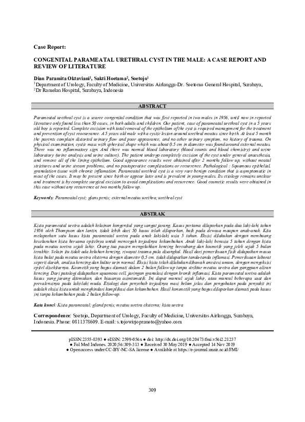 (PDF) Case Report: Congenital Parameatal Urethral Cyst in The Male: A ...
