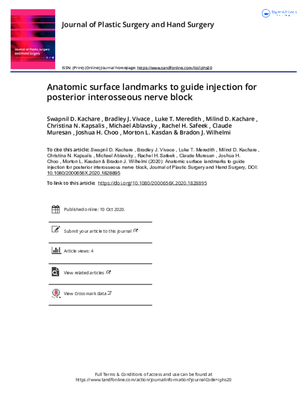(PDF) Anatomic surface landmarks to guide injection for posterior ...