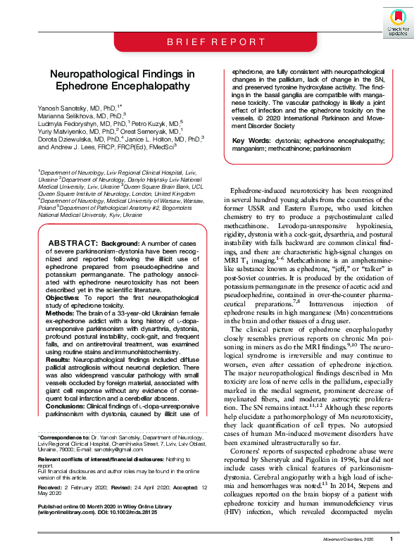 (PDF) Neuropathological Findings in Ephedrone Encephalopathy | Petro ...
