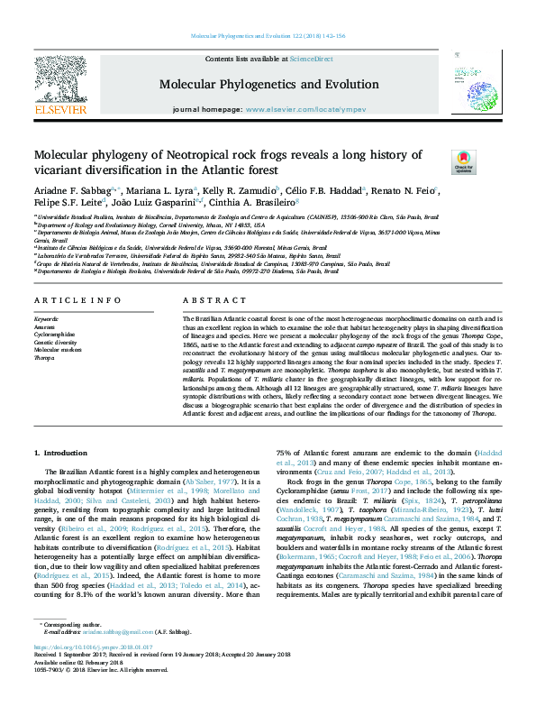 (PDF) Molecular phylogeny of Neotropical rock frogs reveals a long ...