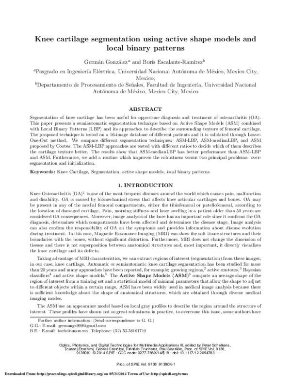 (PDF) Knee cartilage segmentation using active shape models and local binary patterns | Boris ...