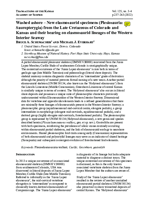 (PDF) Washed Ashore – New Elasmosaurid Specimens (Plesiosauria ...