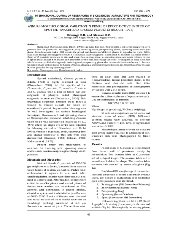 (PDF) Annual Morphological Variation of Female Reproductive System in ...