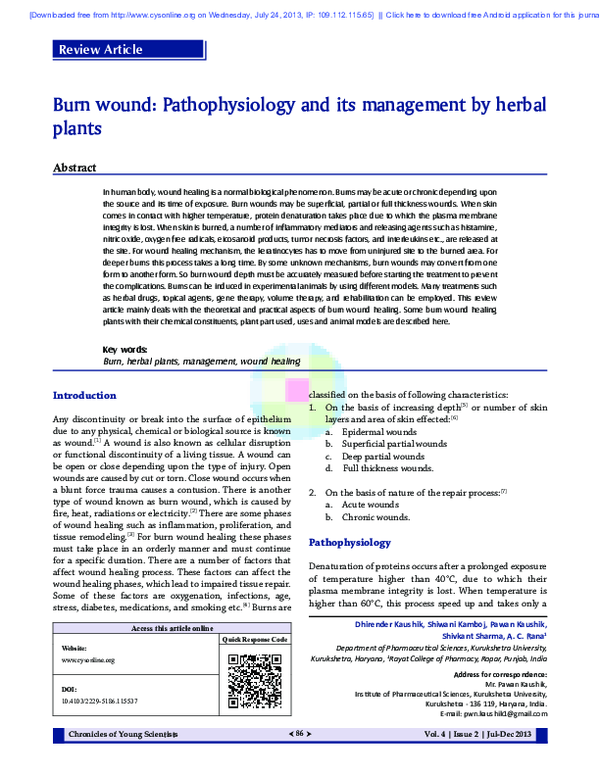 (PDF) Burn wound: Pathophysiology and its management by herbal plants