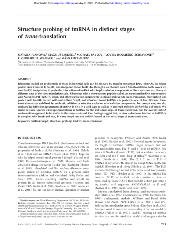 (PDF) Structure probing of tmRNA in distinct stages of trans-translation